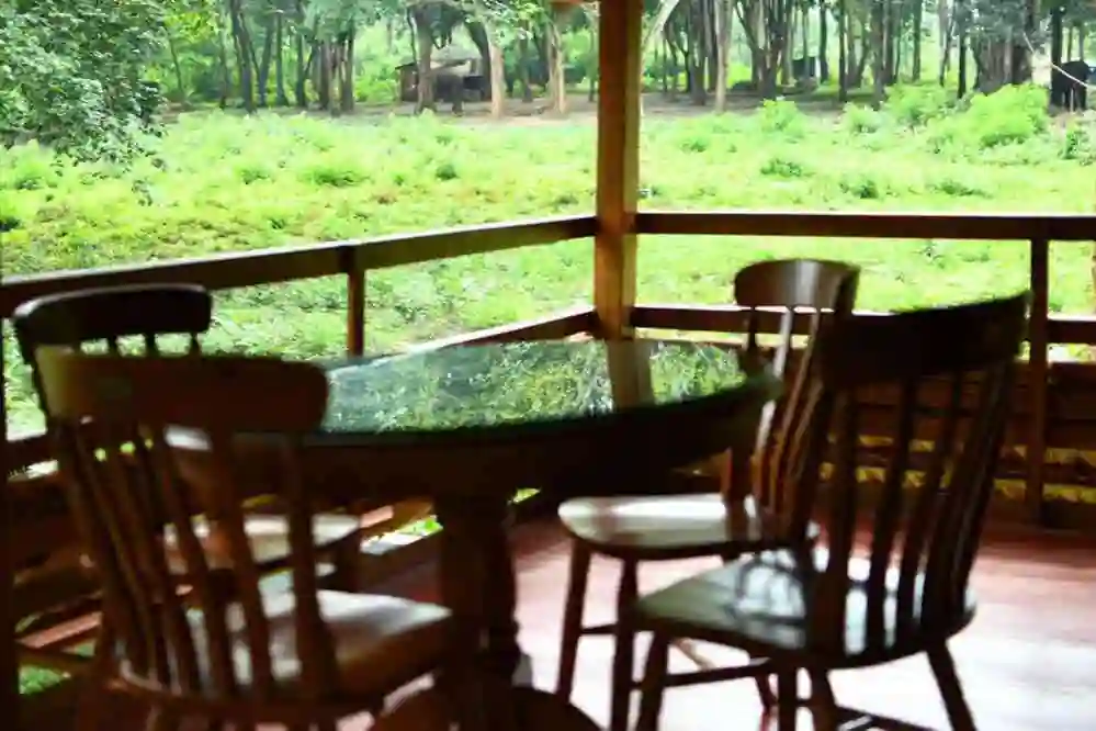 Wayanad Wildlife Sanctuary | Official Website of Wayanad Wildlife ...